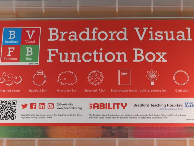 The Bradford Visual Function Box – a quick guide | SeeAbility